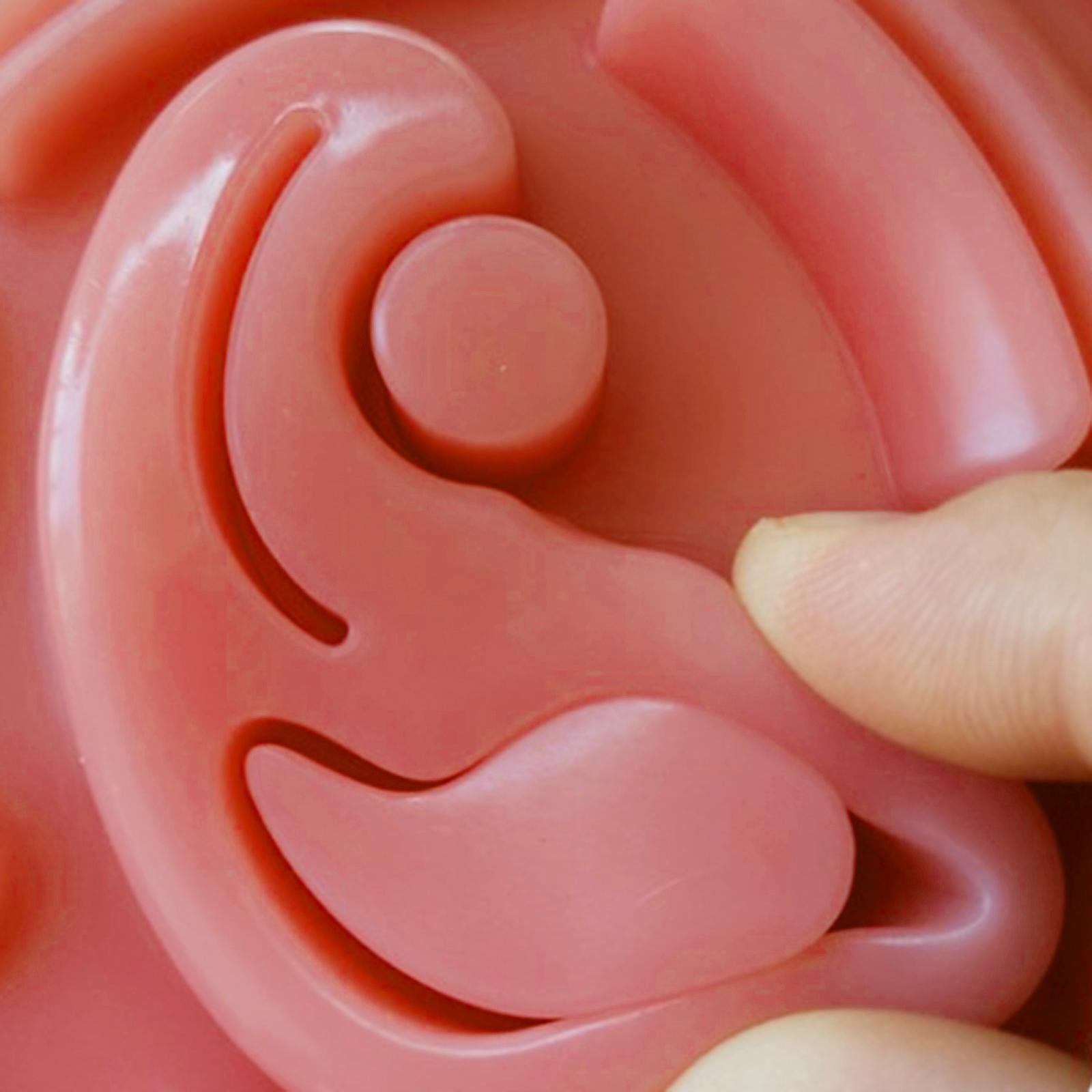 3D Skin multiple wound surgery suture silicone module practice model ...