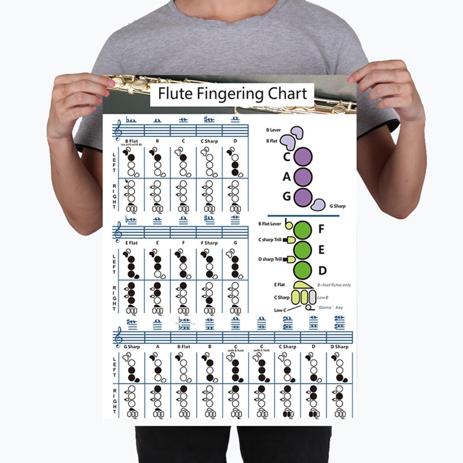 Flute Chord Chart Cheatsheets Educational Accessories for Student Begi ...