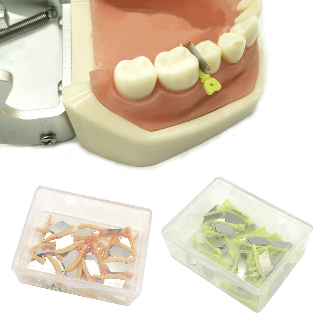 Dental Fender Wedges Knife Interproximal Blade with Steel Matrix Care ...